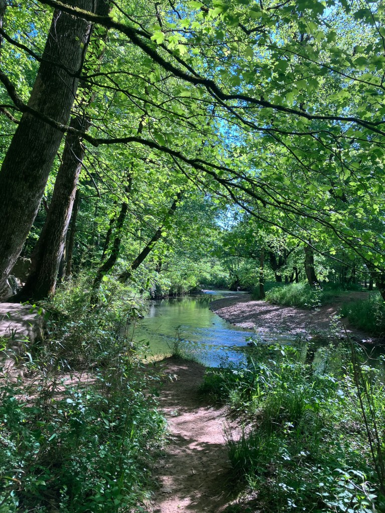 Cahaba River Tree Trail Home Page – Friends of Pinchgut Creek